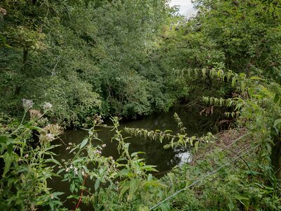 Vakantie in Limburg | Camping 't Geuldal