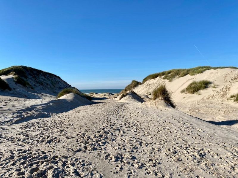 Wellness vakantiewoningen