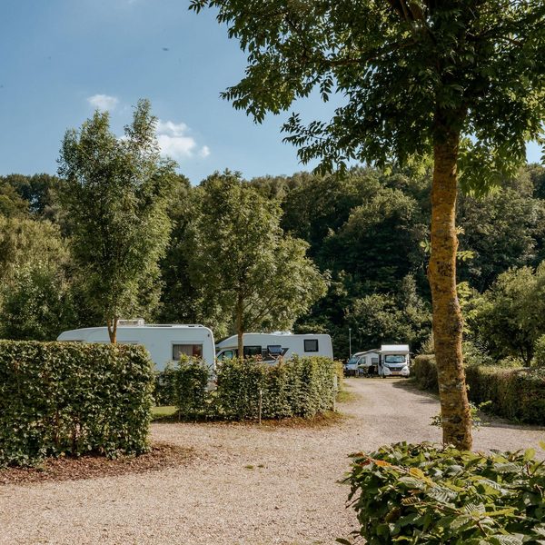 Camping in Limburg 🏕️ | Lid van Ardoer