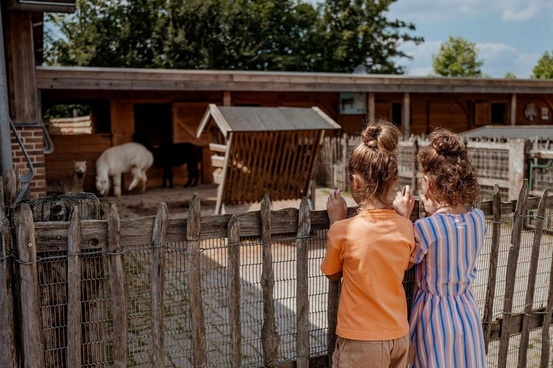Kamperen bij Camping 't Geuldal: Unieke plek aan de rivier
