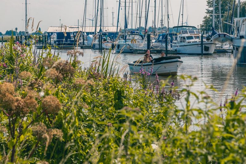 De Biesbosch Holiday Park | Water experience | EuroParcs