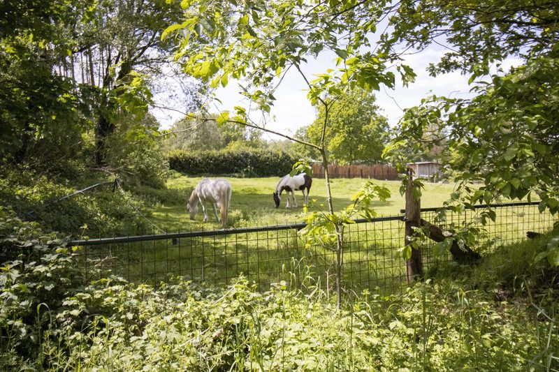 Recreation Park Warredal | Sports, Vacation and Relaxation